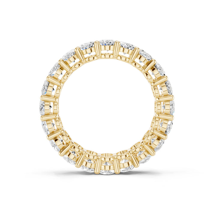 Ellipse Eternal Band – Verlas